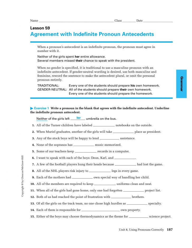 Pronoun Antecedent Agreement Exercises 9 Pronoun Antecedent Examples ...