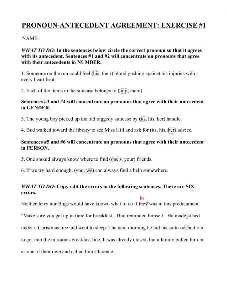 Pronoun Antecedent Agreement Exercises Pronoun Antecedent Agreement pronoun-antecedent-agreement-exercises-pronoun-antecedent-agreement