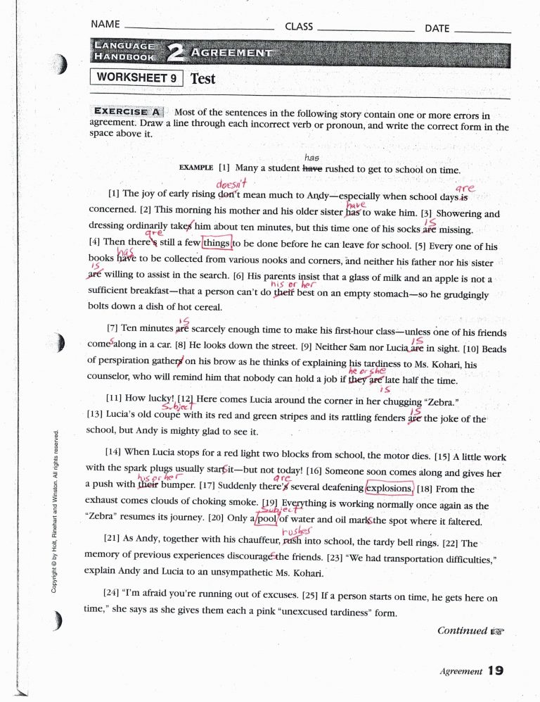 Pronoun Antecedent Agreement Worksheet Pronoun Antecedent Agreement ...