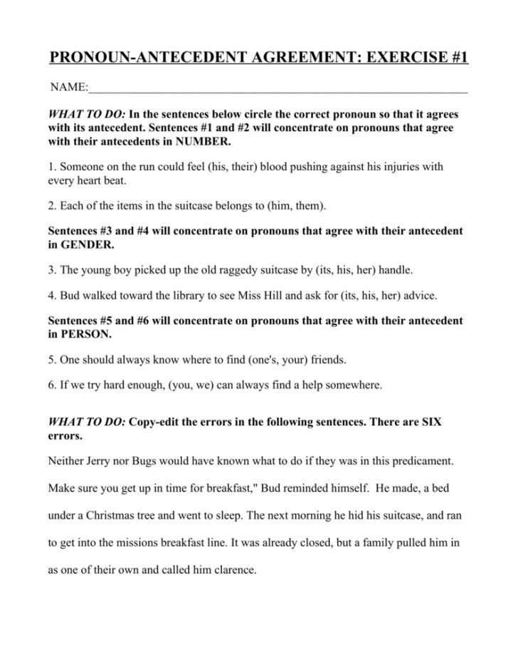 Pronoun Antecedent Agreement Worksheets Pronoun Antecedent Agreement ...